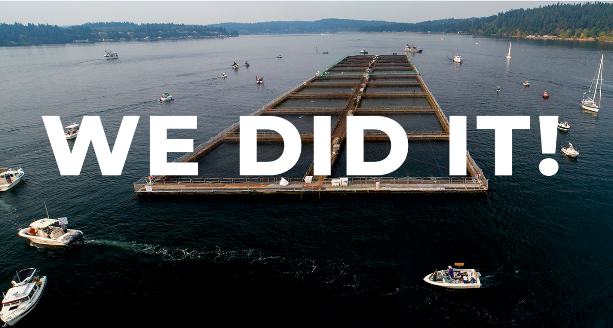 Elwha River | Native Fish Society