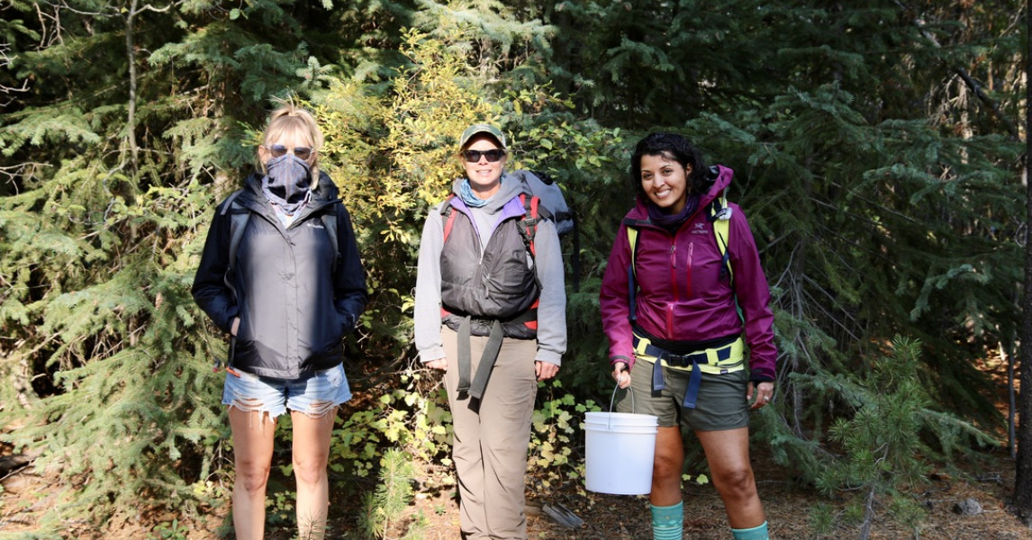 Learn more about the opportunity to join our 2023 Diversity, Equity ...