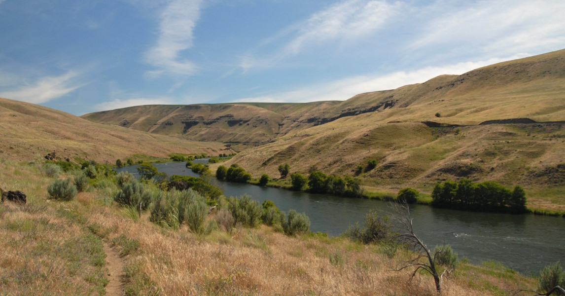 In Remembrance: Doug Robertson | Native Fish Society
