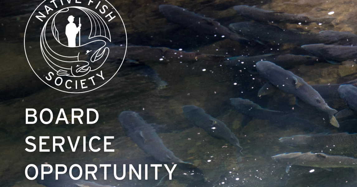 Native Fish Society Board Service Opportunity: Now Accepting ...