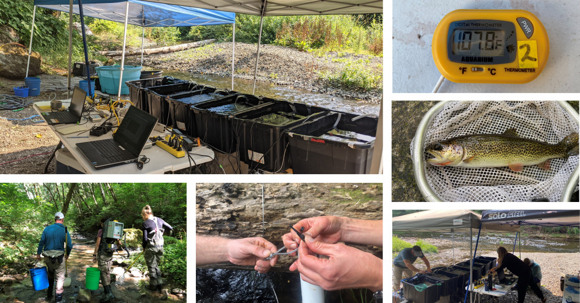 McKenzie Chapter Update: ODFW Presentation in April & Future Meetings ...