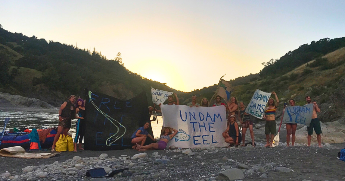 StEELhead Discoveries Series - Part 1 | Native Fish Society