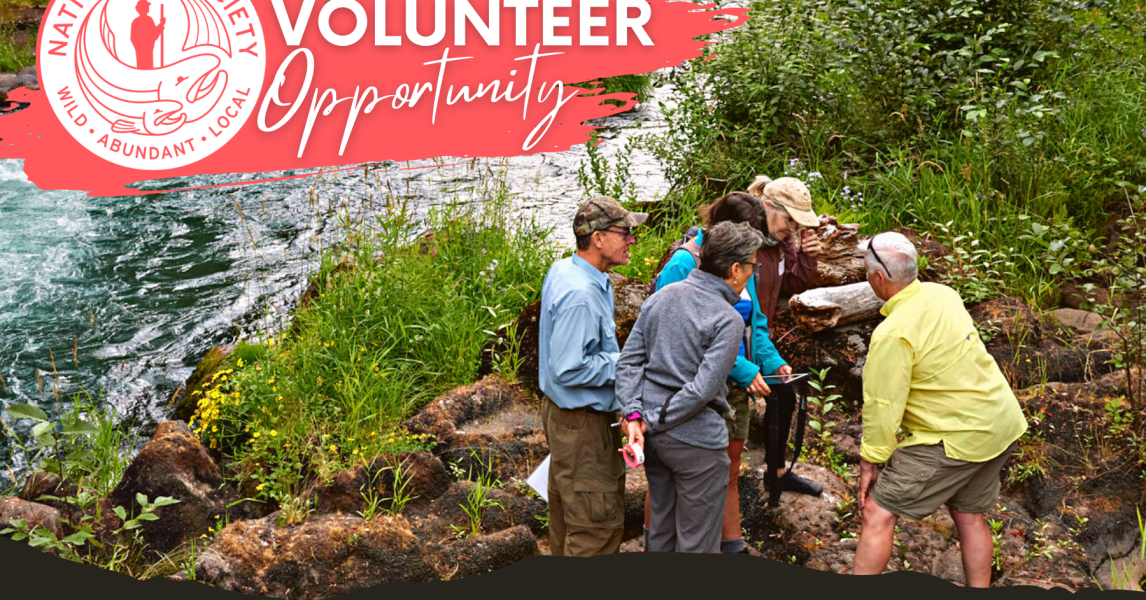 Volunteer Opportunity: White Salmon Spawning Surveys | Native Fish Society