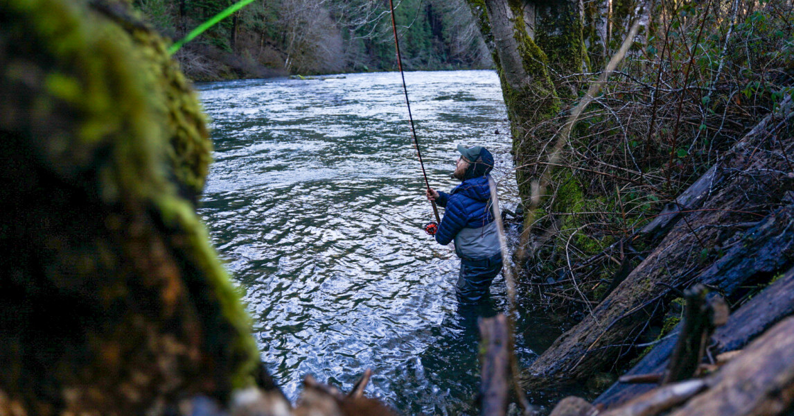 Wild Steelhead Story | Native Fish Society