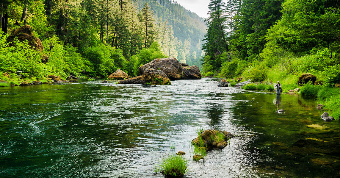 Oregons Rivers Drive Tourism and Recreation Economy | Native Fish Society
