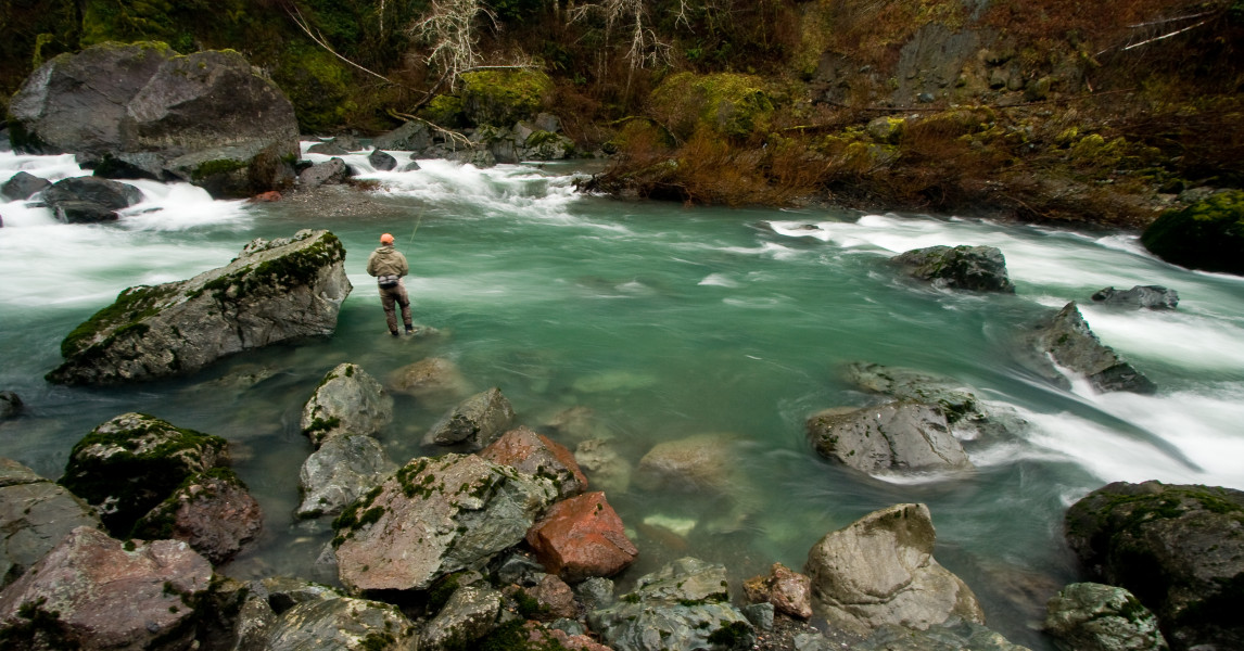 Wild Rivers Campaign | Native Fish Society