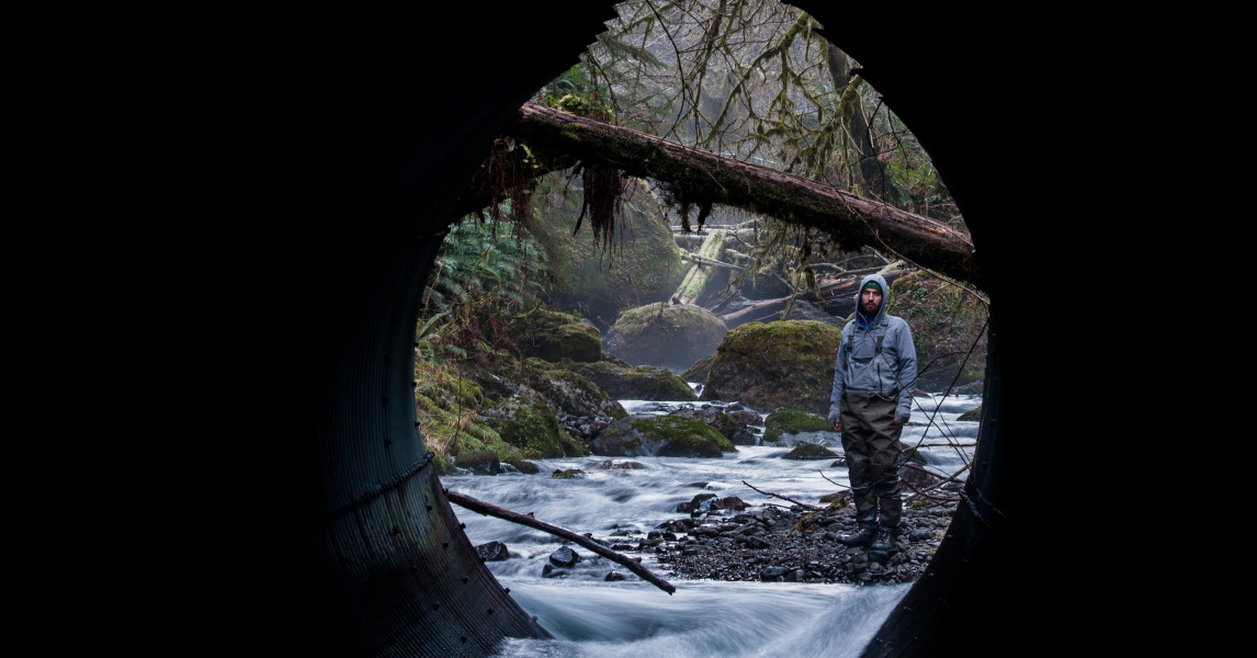 North Creek Campaign | Native Fish Society