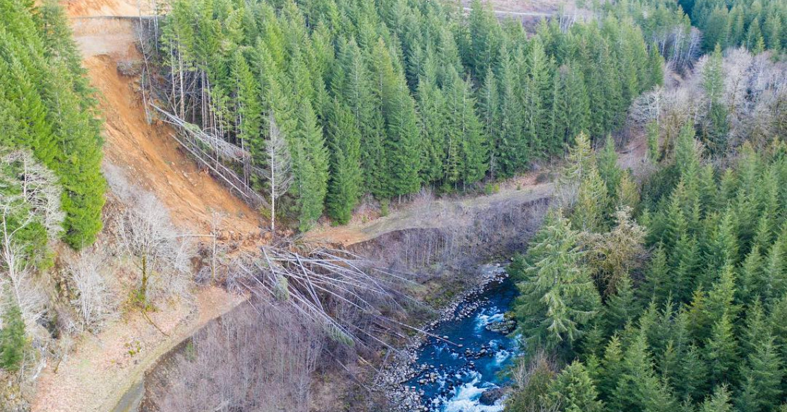 The Chehalis River Dam Proposal…Our Wild Fish need your Help! | Native ...
