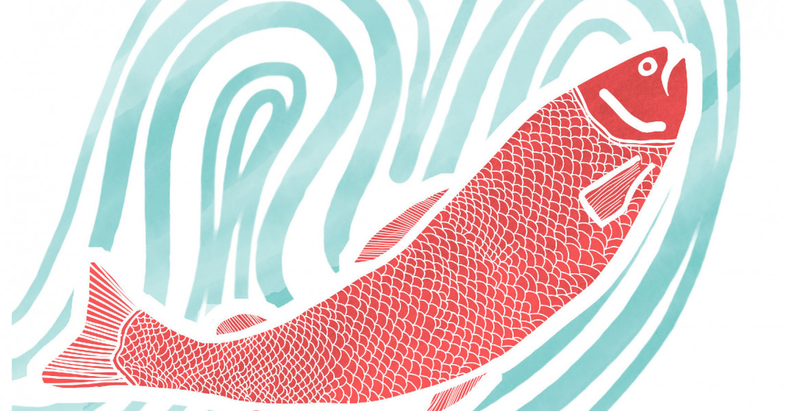 Native Fish Society's Annual Report for 2021 | Native Fish Society