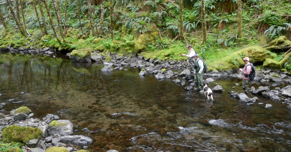 Celebrating 30 Years of the Salmonberry River Data Collection Project ...
