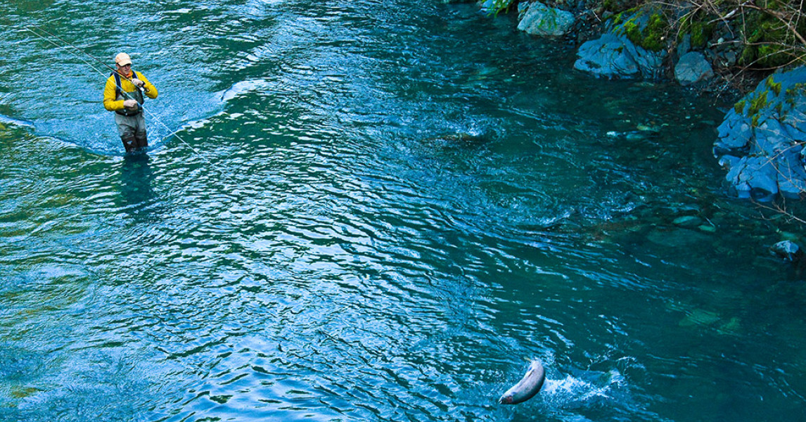 A Photo Finish for the Wild Rivers Campaign | Native Fish Society