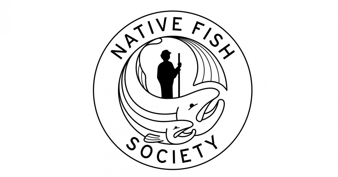 Sneak Peek: New NFS Logo | Native Fish Society