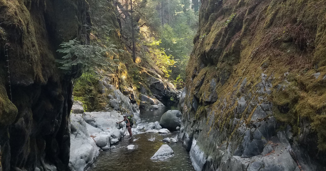Following the Steelhead - Through Northern California | Native Fish Society