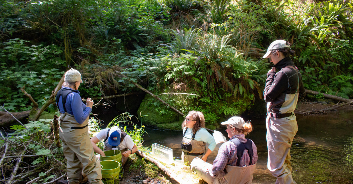 The Resonance of Many Voices | Native Fish Society