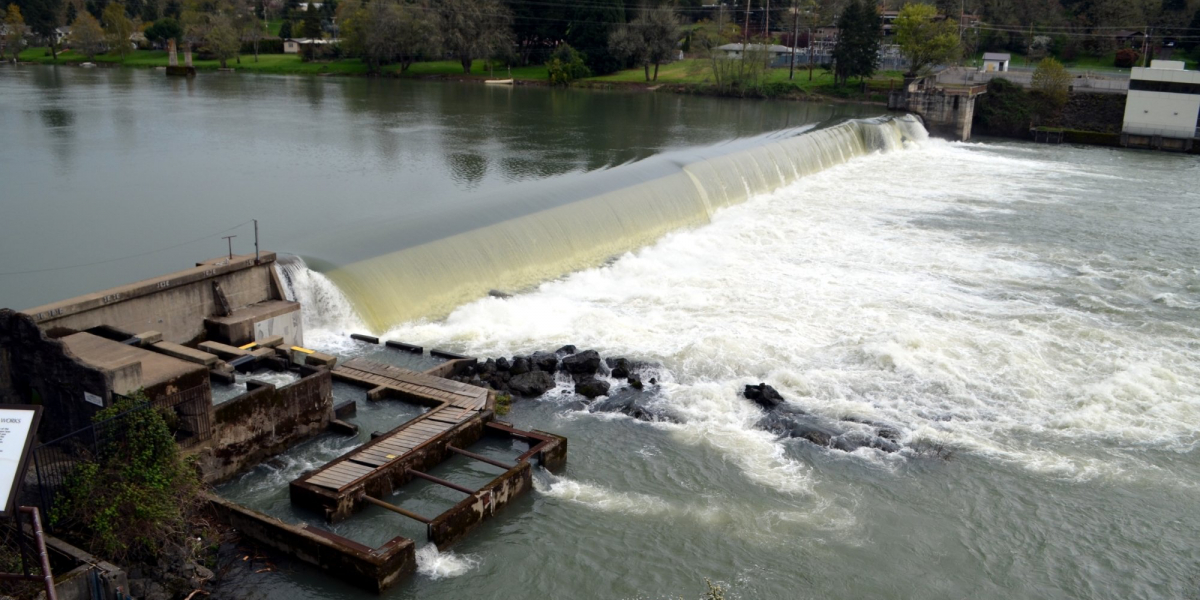 fish over dam