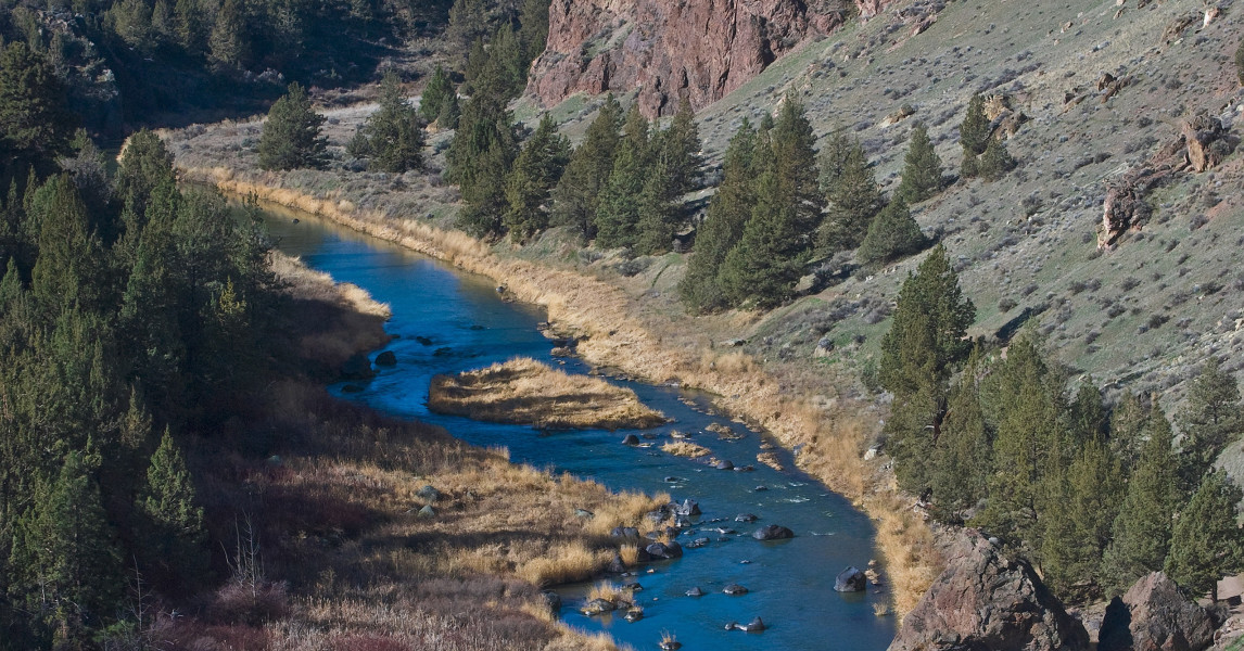 Crooked River | Native Fish Society
