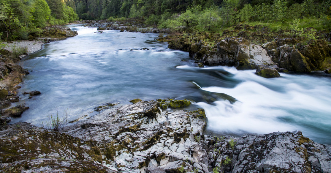 North Umpqua River | Native Fish Society