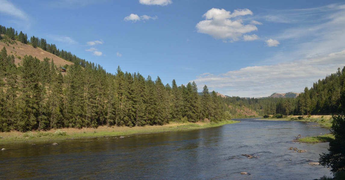 Clearwater River | Native Fish Society