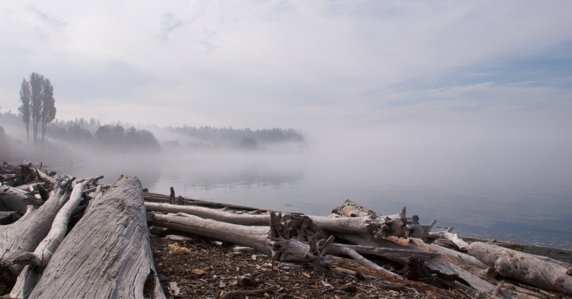 South Puget Sound Tributaries | Native Fish Society