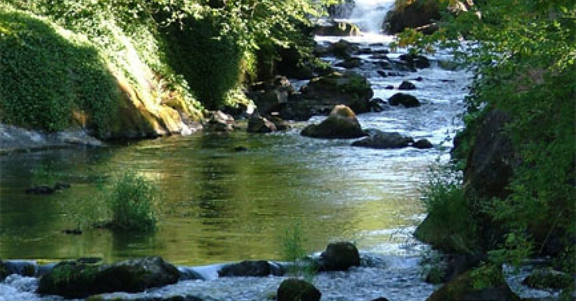 river through washington