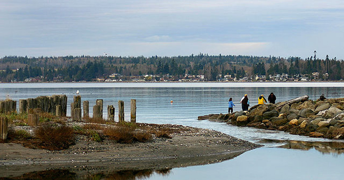 Terrell Creek | Native Fish Society