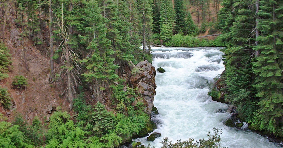 Upper Deschutes River | Native Fish Society