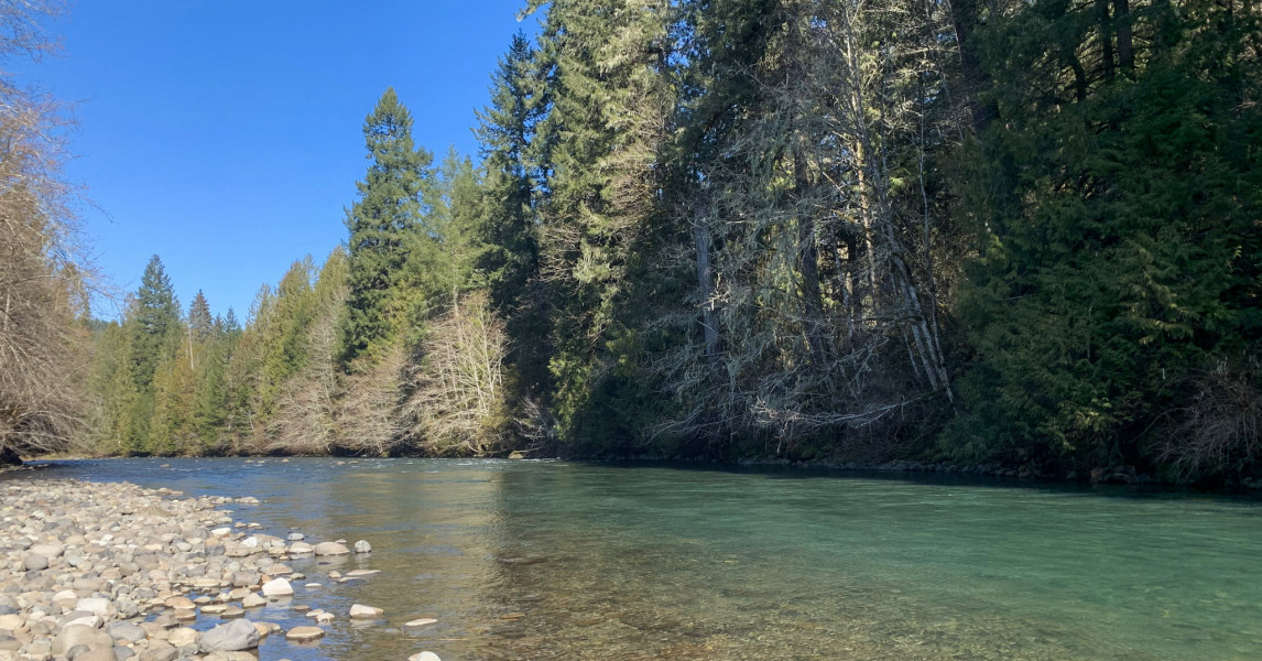Molalla River Restoration - PART II: The Partnership | Native Fish Society